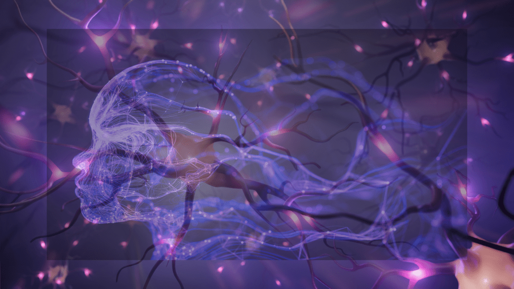 Reframing the Roads in Our Brain: The Journey from Negative to Positive ...